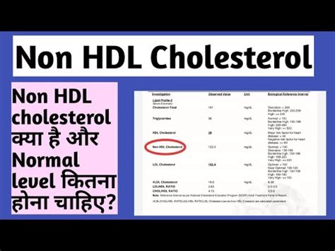 Non HDL Cholesterol Non HDL Cholesterol Meaning Non Hdl Cholesterol Levels YouTube