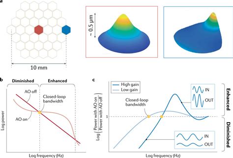 Influence Functions And Dynamic Control Download Scientific Diagram