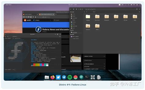 2023 年 10 个最受欢迎的 Linux 发行版 知乎