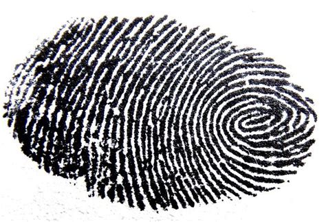 Curls Tls Fingerprint