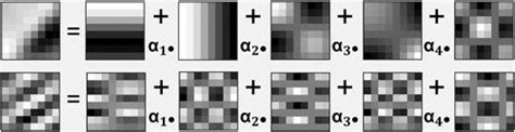 The Illustration Of Sparse Coding From Basis To Approximate Two Download Scientific Diagram