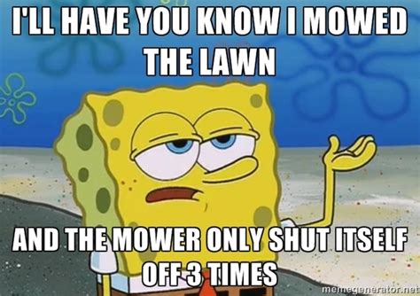 Its Been Quite A While Since I Cut The Grass Meme Guy