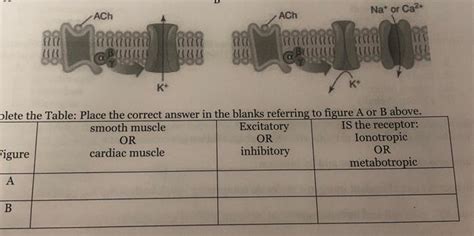 Solved Plete The Table Place The Correct Answer In The
