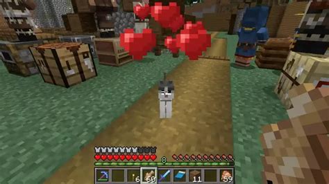 How To Tame A Cat In Minecraft A Step By Step Guide