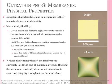 Ppt Separation Of Macromolecules Using Ultrathin Silicon Membranes Powerpoint Presentation