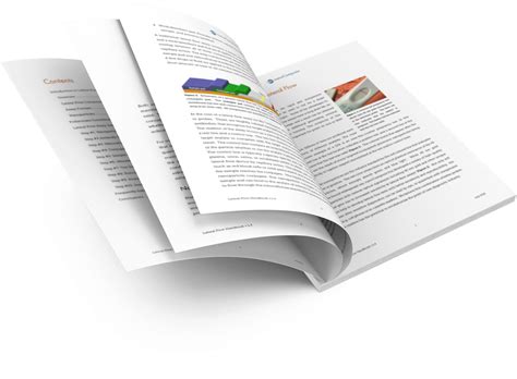 Lateral Flow Assay Development Guide