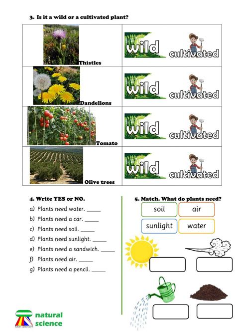 Unit Review Pl Free Interactive Worksheets 5644548