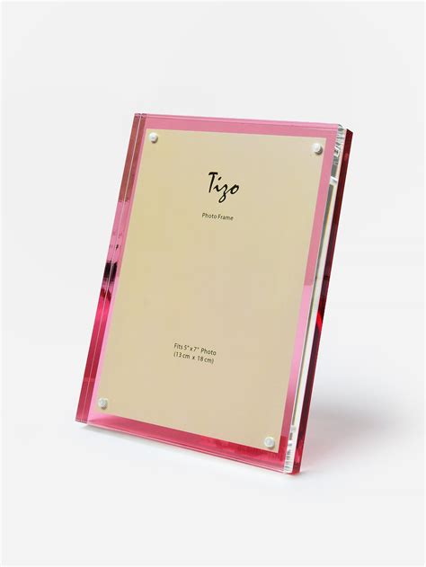 Tizo Lucite Pink Back 5x7 Photo Frame 86 00 Saint Bernard