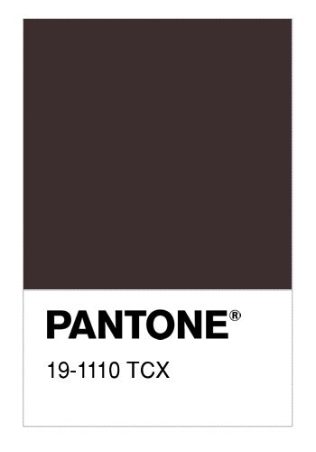 Colore Pantone® 19 1110 Tcx Chocolate Plum Numerosamenteit