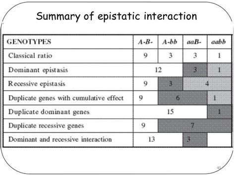 Epistatic Interaction 02 03 2015