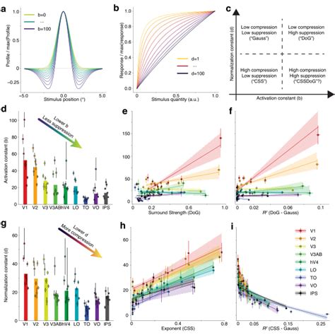 Activation And Normalization Constants B And D Modulate Suppression And