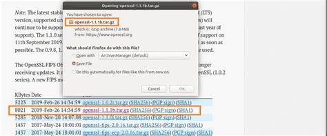 如何安装 Openssl 111 和 Libssl 软件包？ 1804 Dev59