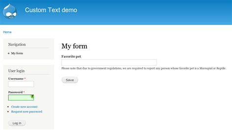 Custom Text Explained