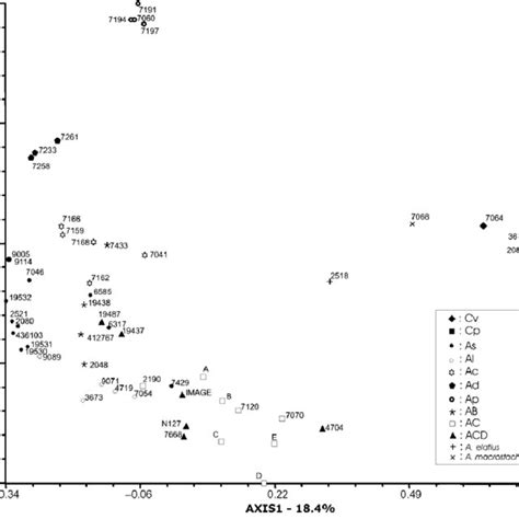 Principle Coordinate Analysis Plot Of 55 Genotypes Representing The 23