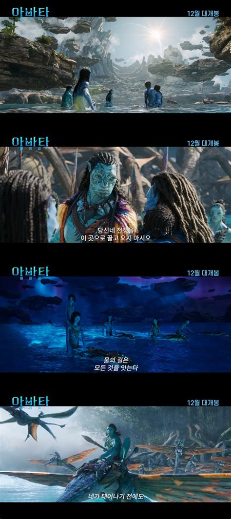 아바타 물의 길 메인 예고편 13년 기다린 스케일…놀라운 수중 세계 비주얼 나무뉴스