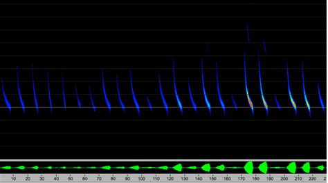 Bat Inventory And Monitoring Moonrise Ecological Services
