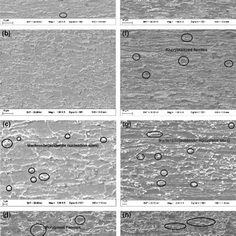 Sem Micrographs Showing The Effect Of Heating Rate On Recrystallization Download Scientific