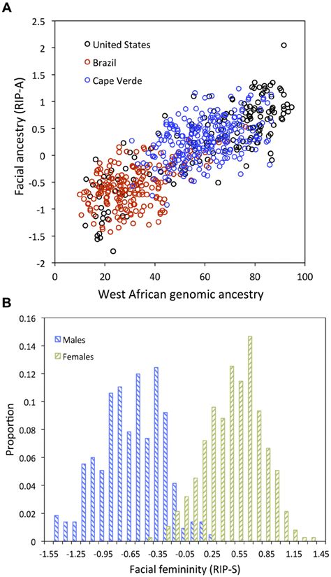 Relationships Between The Ancestry And Sex Rip Variables And Their