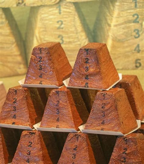 빵에 진심인 빵순빵돌 주목 경기 광주 베이커리 카페 3 소도시여행