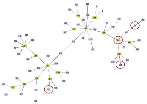 Minimum Spanning Tree Of Sequence Types ST Of A Pittii Download Scientific Diagram