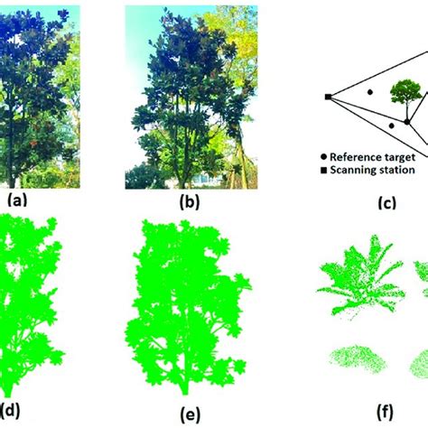 Pdf Estimating Leaf Area Density Of Individual Trees Using The Point Cloud Segmentation Of