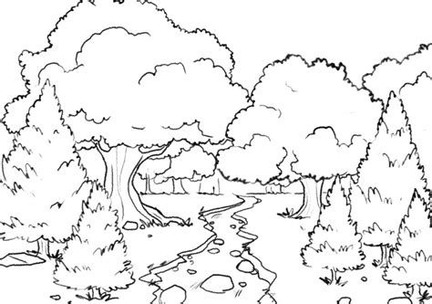 Forest Drawing Guide In 6 Steps Video Tutorial