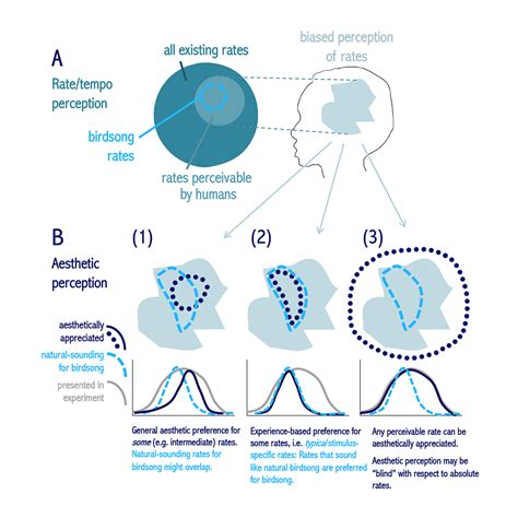 Listening To Birdsong Reveals Basic Features Of Rate Perception And Aesthetic Judgments Max