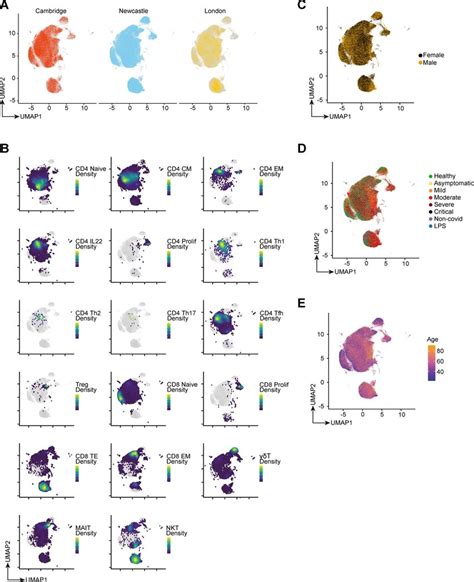 Umap Embedding Of T Lymphoid Clusters Showing Cell Type Estimation And
