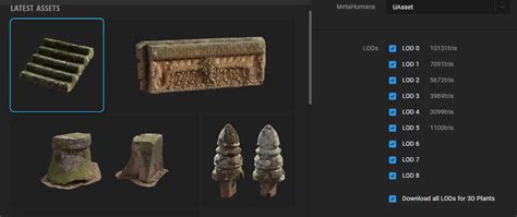 Quixel Bridge To D5 Tool Convert Quixel Assets Into D5a Format When