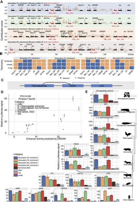 A Novel Interpretable Deep Learning Based Computational Framework