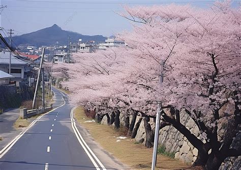 대정단군 계절 교통 길 배경 일러스트 및 사진 무료 다운로드 Pngtree