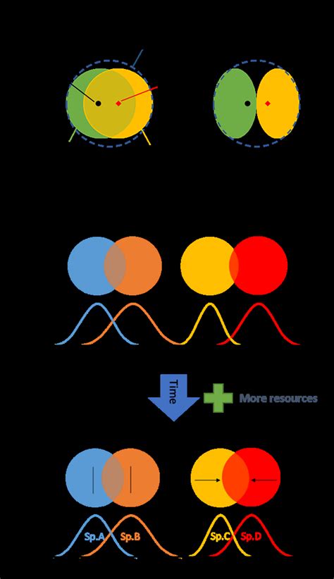 A Predator Niche Space Overlap Under Two Conditions Behaviour Free