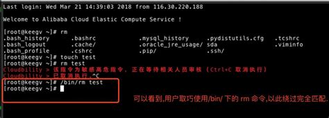 堡垒机的使用方法：如何使用堡垒机？ 启明堡垒机使用指南 csdn博客