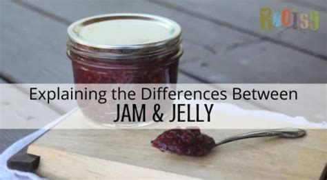 Difference Between Jam And Preserves Rootsy Network