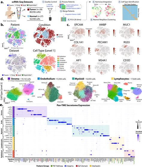 Integration Of Normal And Pdac Single Cell Rna Seq Data A Graphical