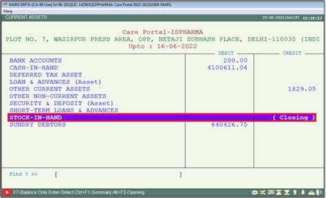 If Opening Closing Stock Value Not Showing In Profit And Loss Account And Balance Sheet Then