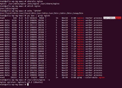 How To Find Out Nginx Version Using Command Line NixCraft