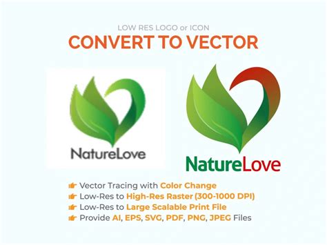 high quality manual vector tracing within 3 hours low to high res