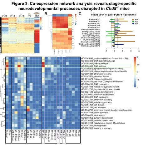 Identification Of De Genes With Correlated Expression Patterns Across Download Scientific