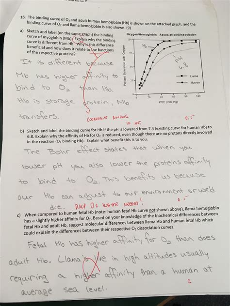 solved 16 the binding curve of o2 and adult human