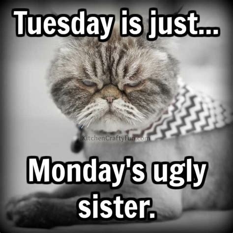 Sister Ugly Memes Funny Sarcastic Quotes Tuesday Is Mondays Ugly