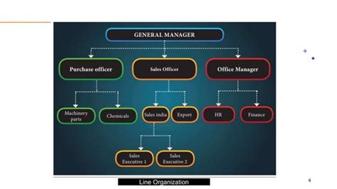 Line Structure Organizationpptx