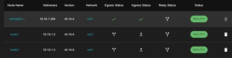 Bug Netclient In Windows 10 Issue 1471 Gravitl Netmaker GitHub