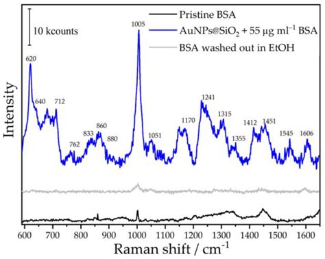 Reusable Sers Substrates Based On Gold Nanoparticles For Peptide Detection