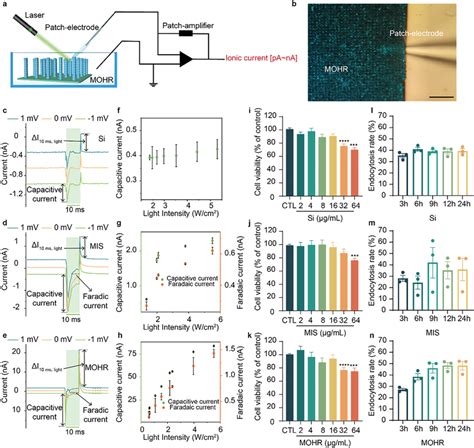 Materials Performance And Measurements Of The Biointerface Download Scientific Diagram