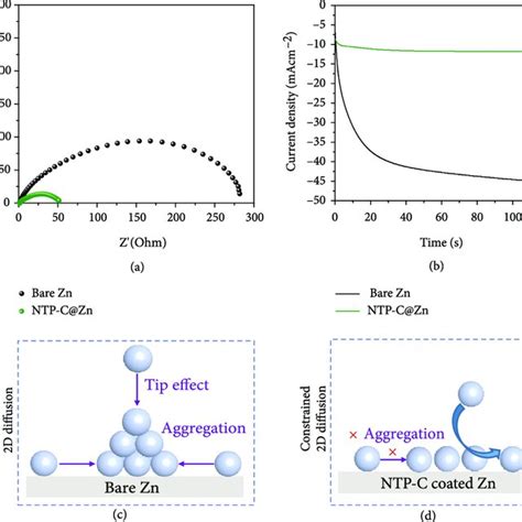 A Electrochemical Impedance Spectra Eis Of Znzn And Download Scientific Diagram