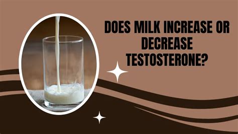 Does Milk Increase Or Decrease Testosterone Levels In Men