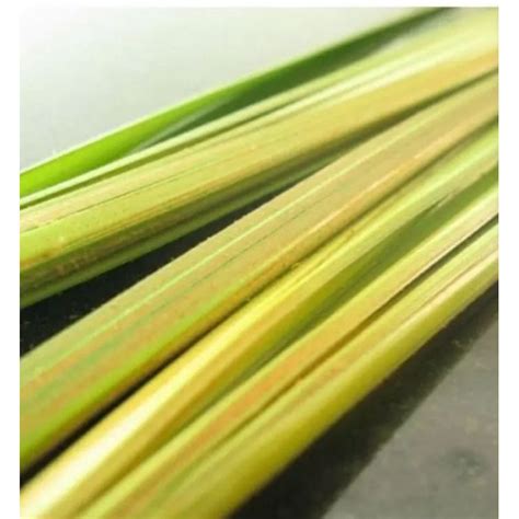 Jual Jual Daun Pucuk Kelapa Muda 20 Lembar Shopee Indonesia