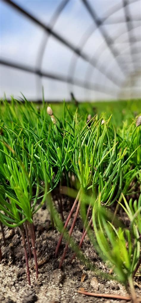 Укрпрогрампродукт Усім привіт Маємо повідомлення від ДПС України щодо нових форм Податкової