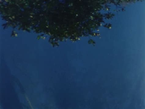 Philipp Fleischmann Brandons Movie Memory